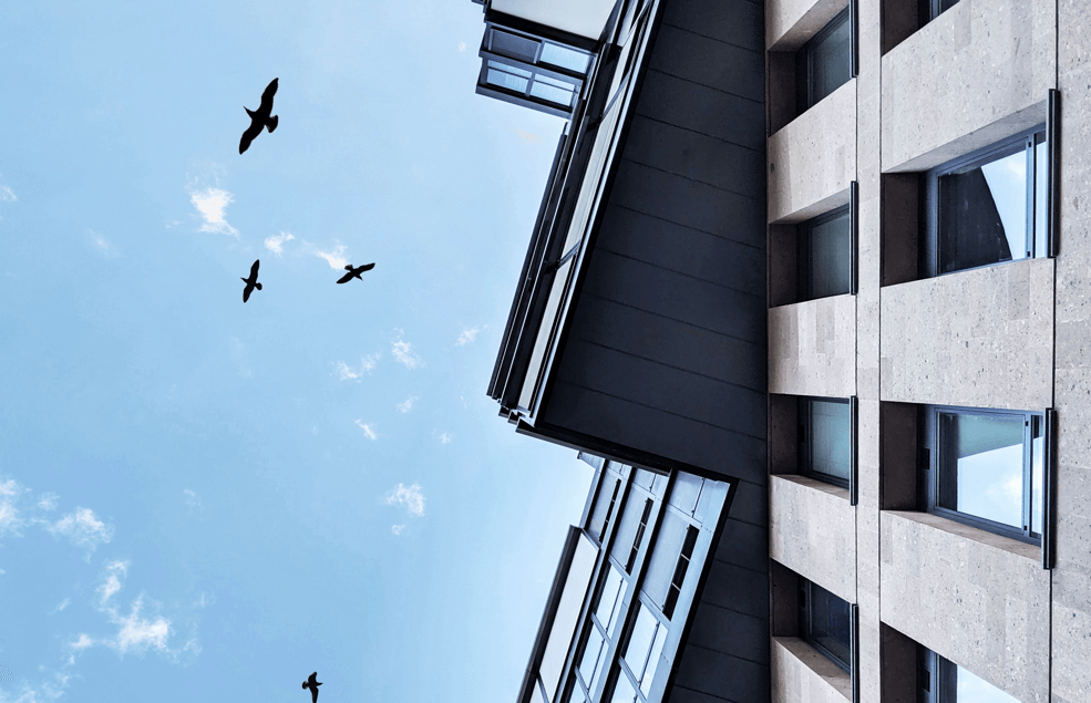 A Bird’s Point Of View: Explore the luxury rooftops of New York - MRBa